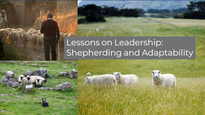 Lessons on Leadership: Shepherding and Adaptability - American Anglican ...